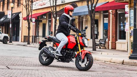 Honda MSX 125 : Avis, Fiche Technique & Modèle 2026